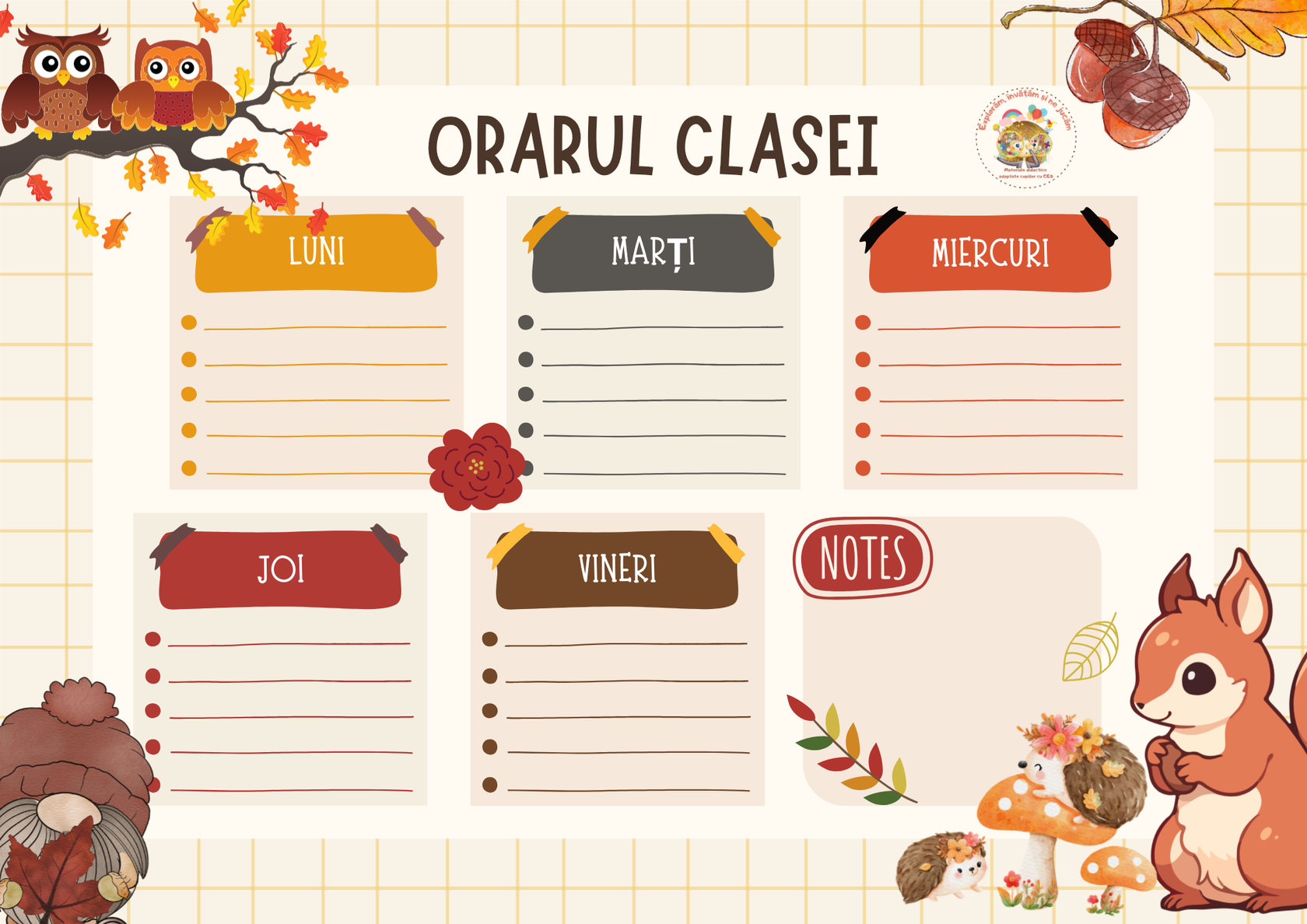 ORAR ȘCOLAR – Materiale Didactice Adaptate Copiilor cu CES