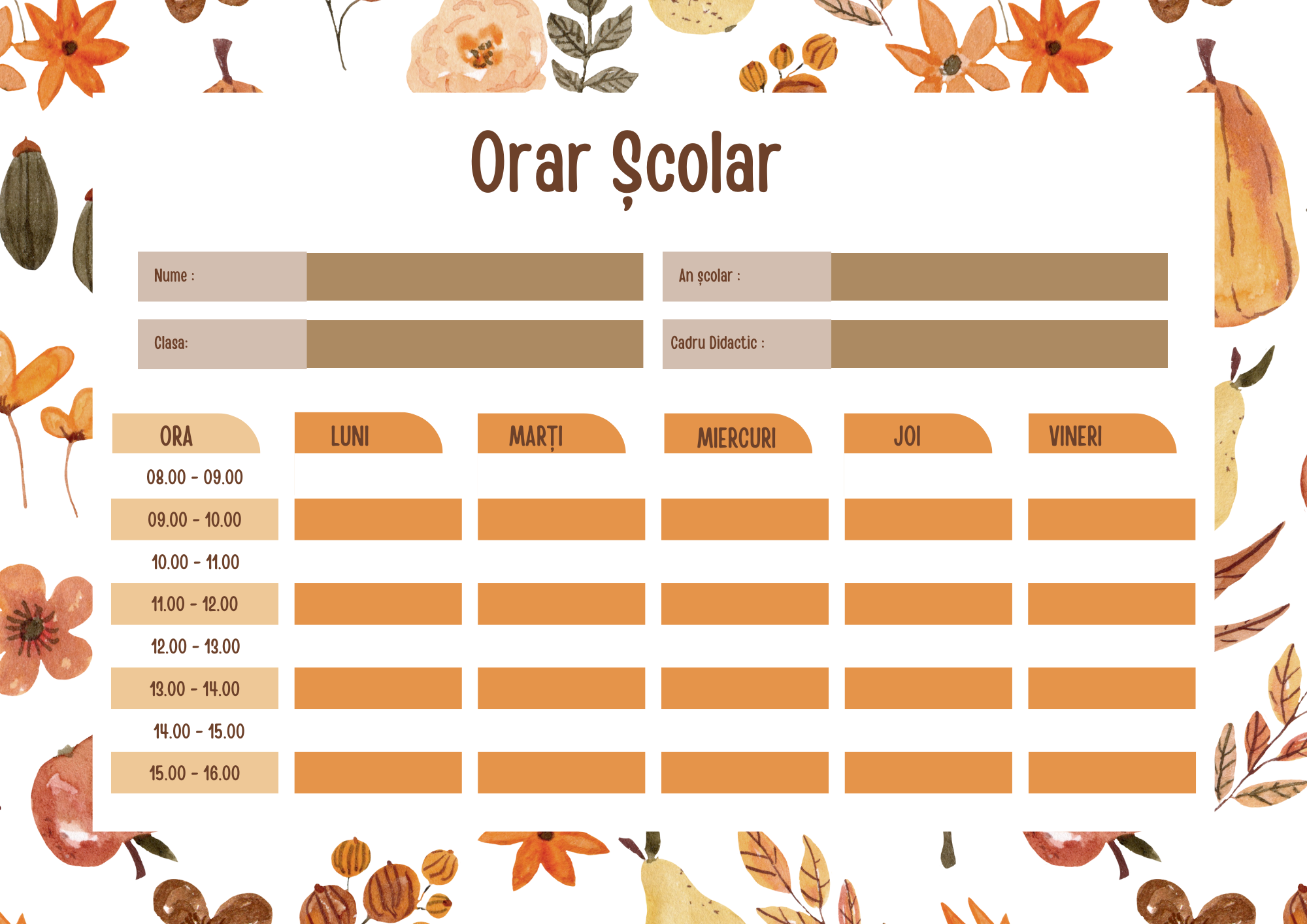ORAR ȘCOLAR – Materiale Didactice Adaptate Copiilor cu CES