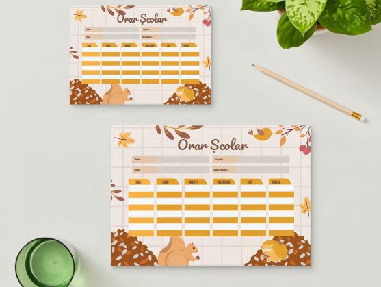 ORAR ȘCOLAR – Materiale Didactice Adaptate Copiilor cu CES